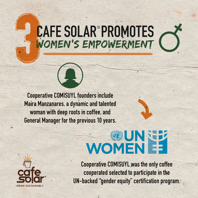 Six Ways Cafe Solar is Different from Other Coffee - Mesoamerican ...