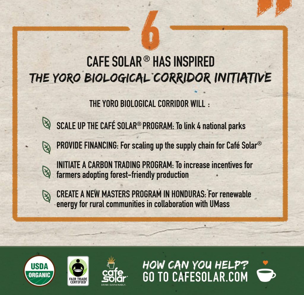 Six Ways Cafe Solar is Different from Other Coffee - Mesoamerican ...